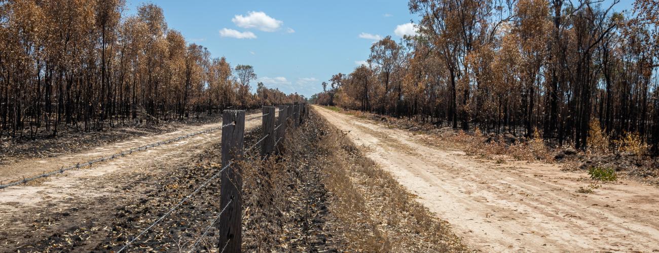 Home | Get Ready Queensland